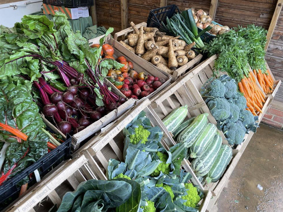 Pagets Produce | A Nettl Melksham site